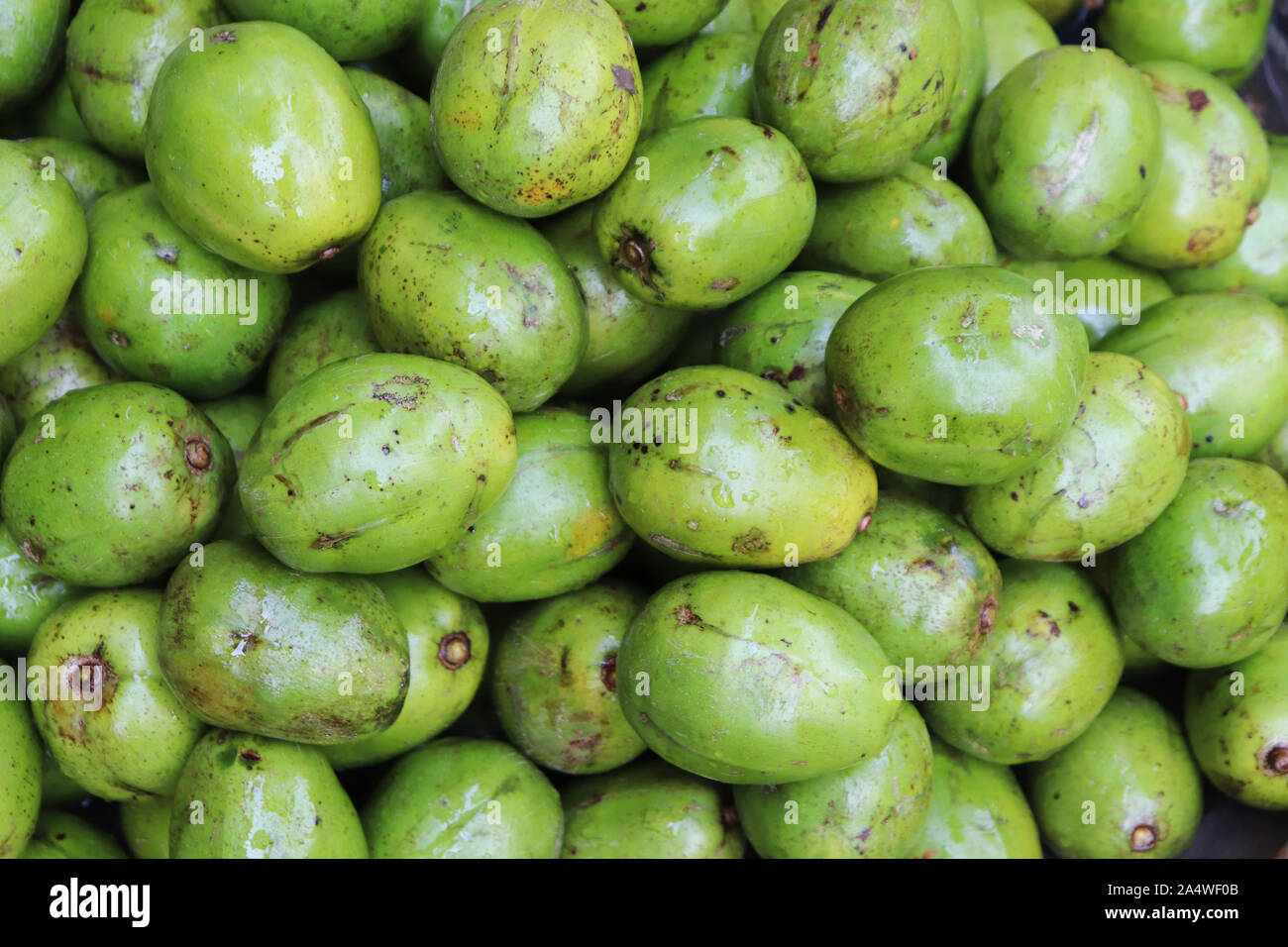 Hog plum hi-res stock photography and images - Alamy