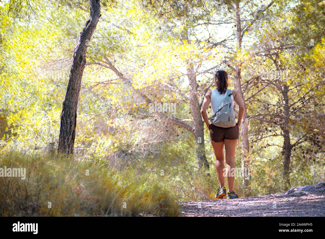 Beautiful caucasian girl, woman outdoors in nature walking, strolling ...