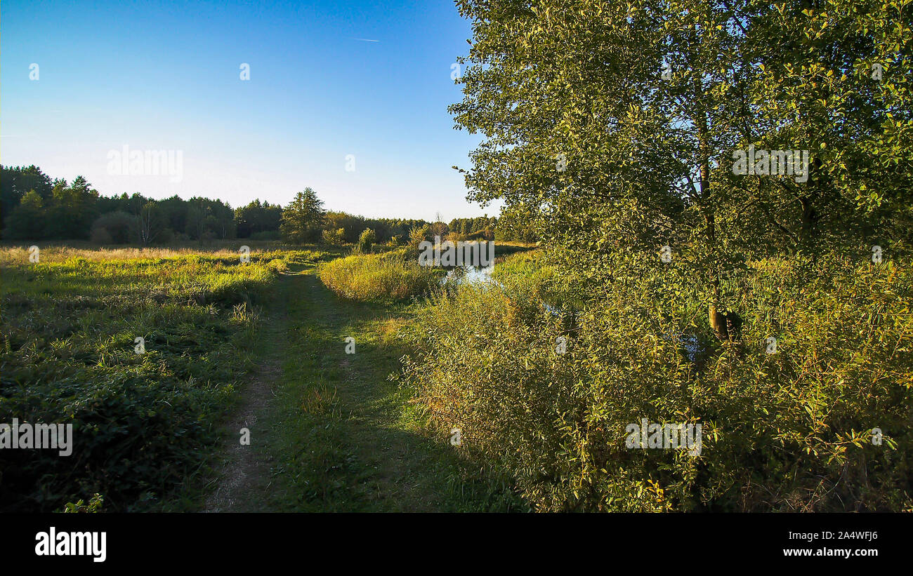 The mysterious river Grabia on a summer day, Poland, 2019 Stock Photo ...