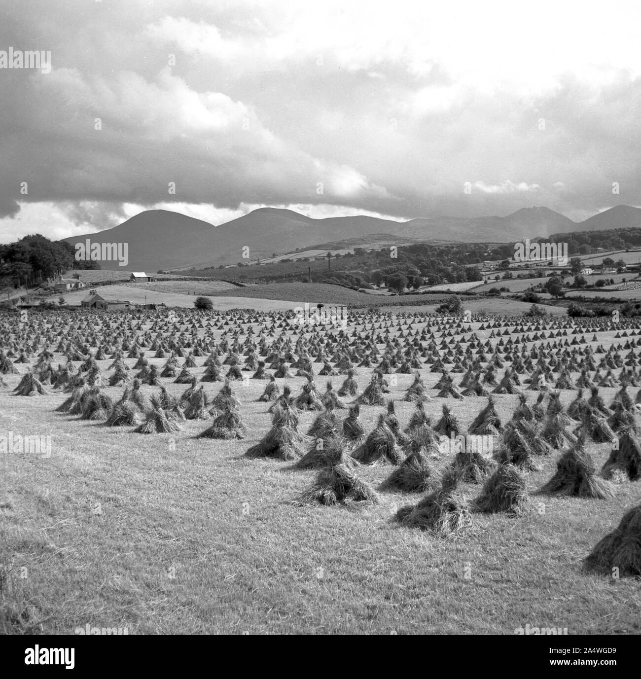 Bale shape Black and White Stock Photos & Images - Alamy