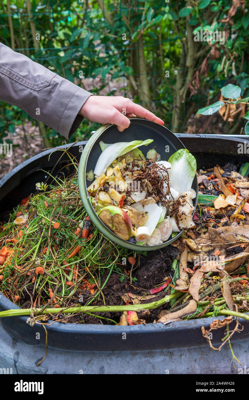 Woman throwing food waste garbage hi-res stock photography and images ...