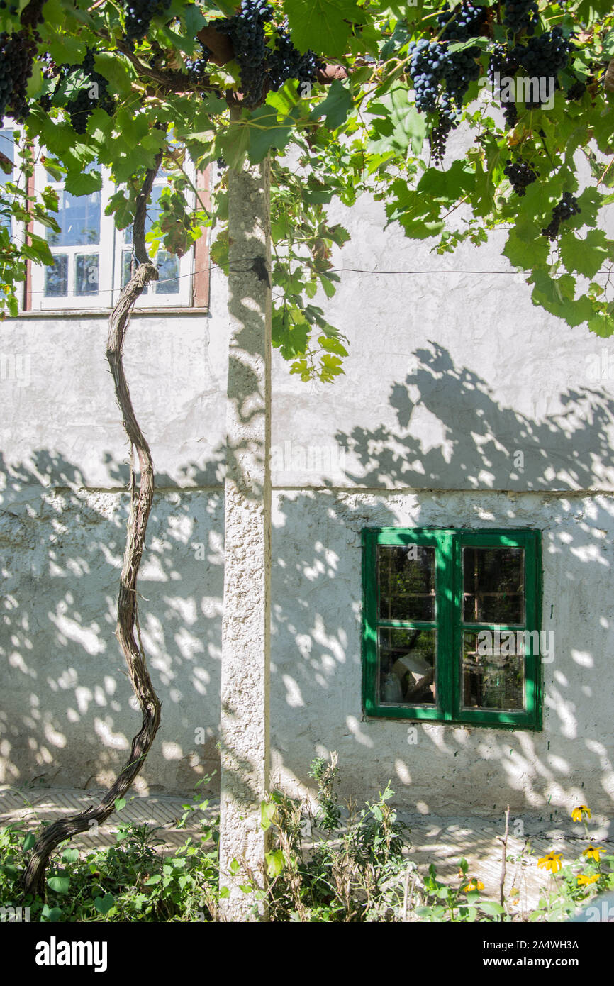 Old rusty green window with bottles behind the glass, building exterior ...