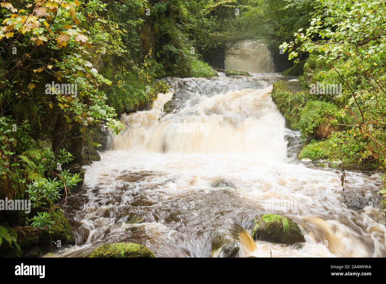 Waterfalls on Hoar Oak Water at Watersmeet after heavy rain, Lynmouth ...