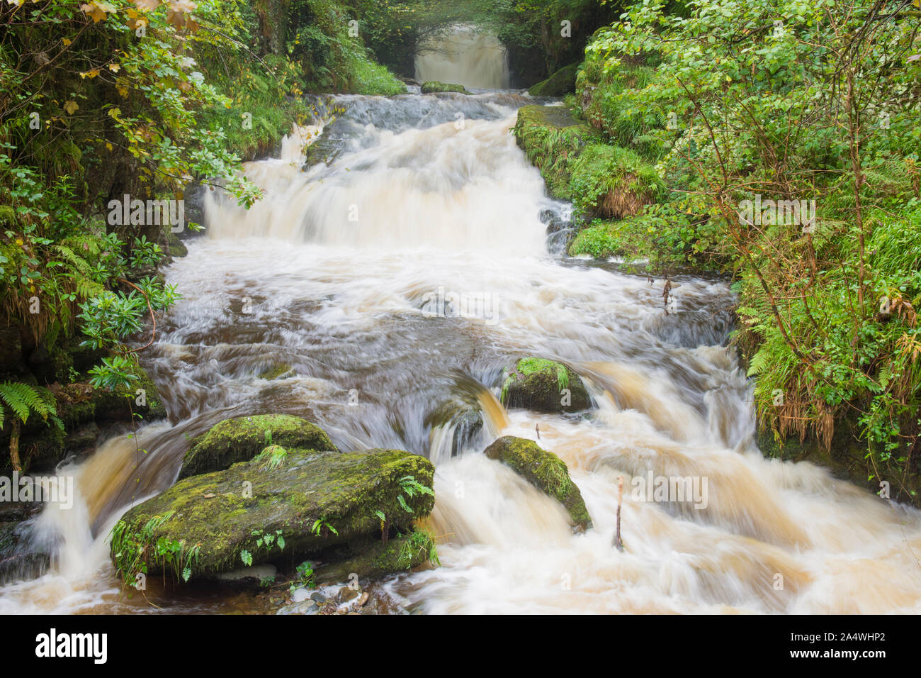 Waterfalls on Hoar Oak Water at Watersmeet after heavy rain, Lynmouth ...