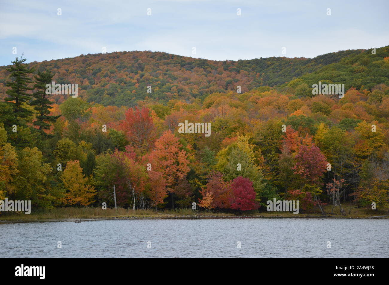 Fall landscape in Quebec Stock Photo - Alamy