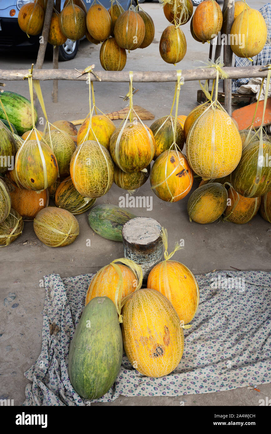 The delicious uzbek melons were already praised by the medieval ...