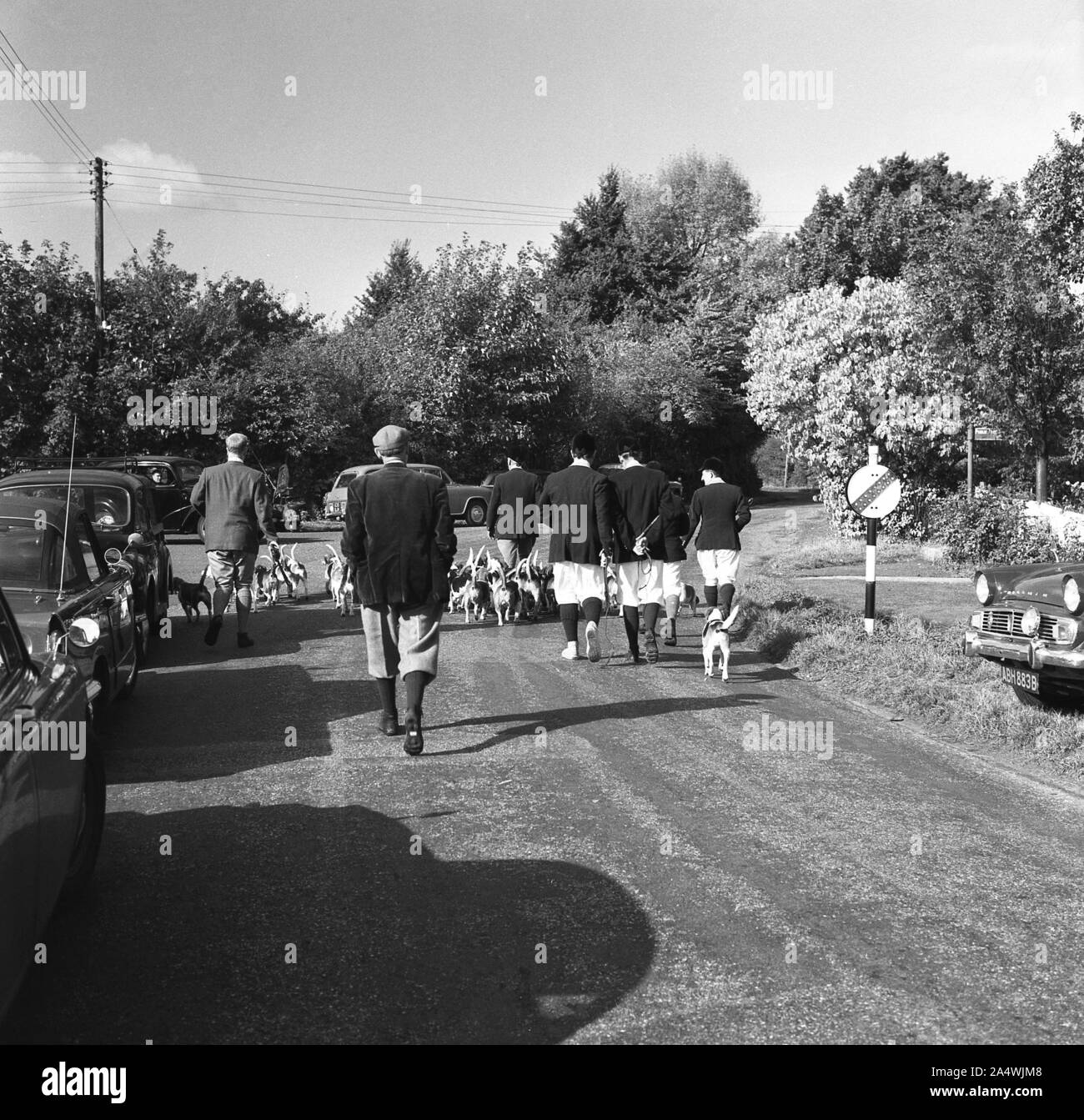 1960s hunting hi-res stock photography and images - Alamy