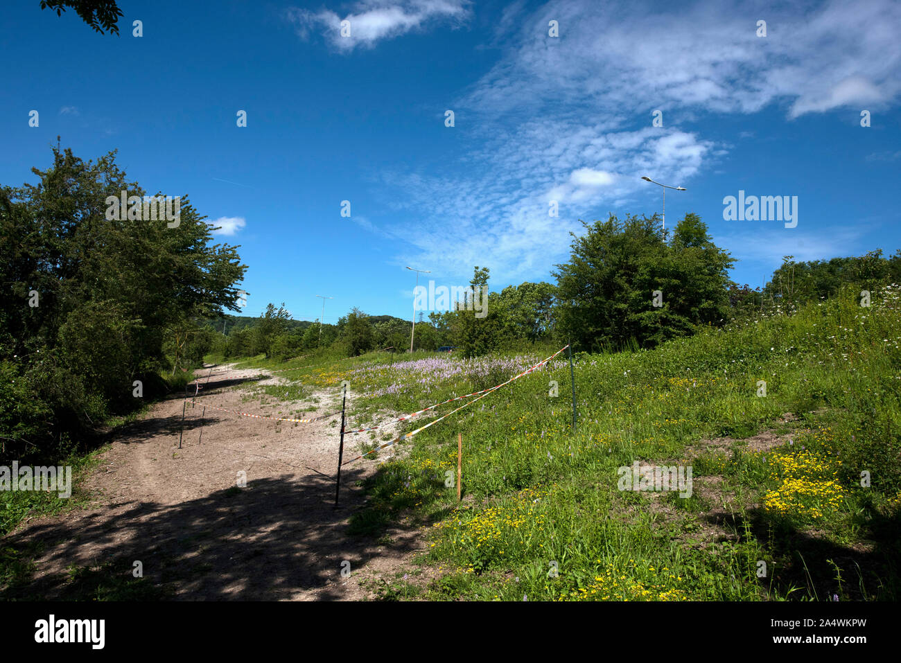 Bluebell Hill Kent High Resolution Stock Photography and Images - Alamy
