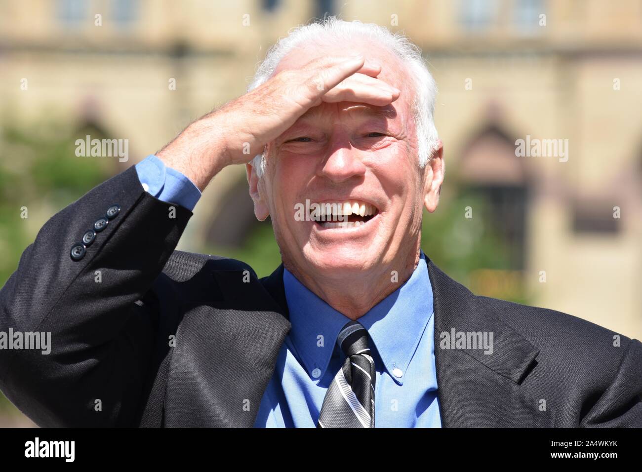 Adult Senior Business Man Sunny Day Wearing Suit Stock Photo - Alamy