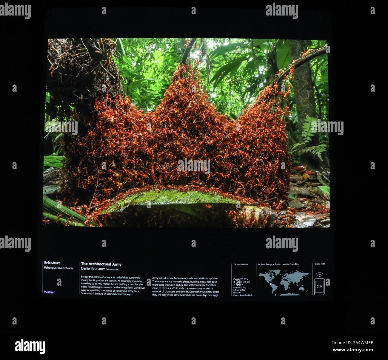 Thomas easterbrook hi-res stock photography and images - Alamy