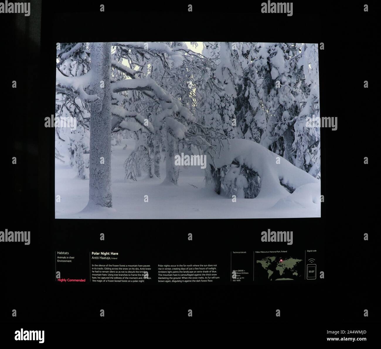 Thomas easterbrook hi-res stock photography and images - Alamy