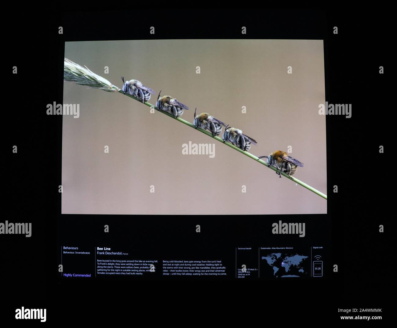 Thomas easterbrook hi-res stock photography and images - Alamy