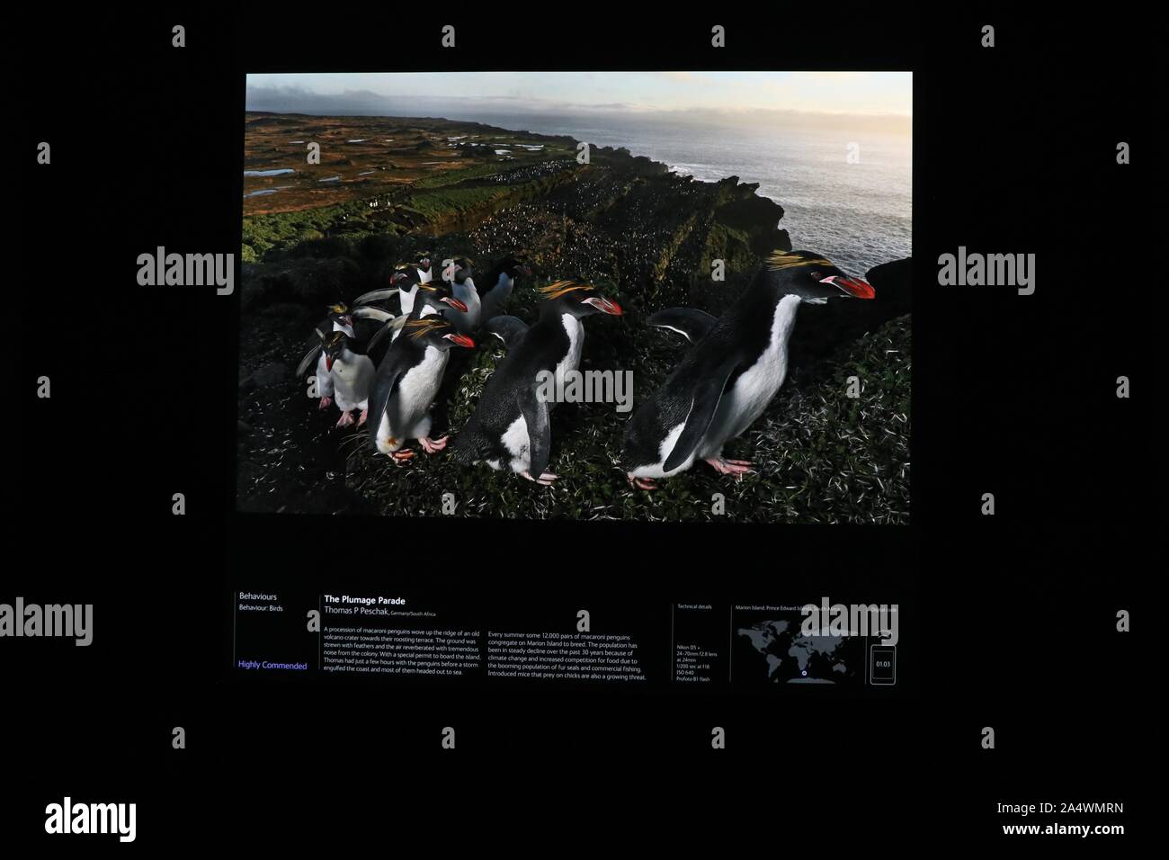 Thomas easterbrook hi-res stock photography and images - Alamy