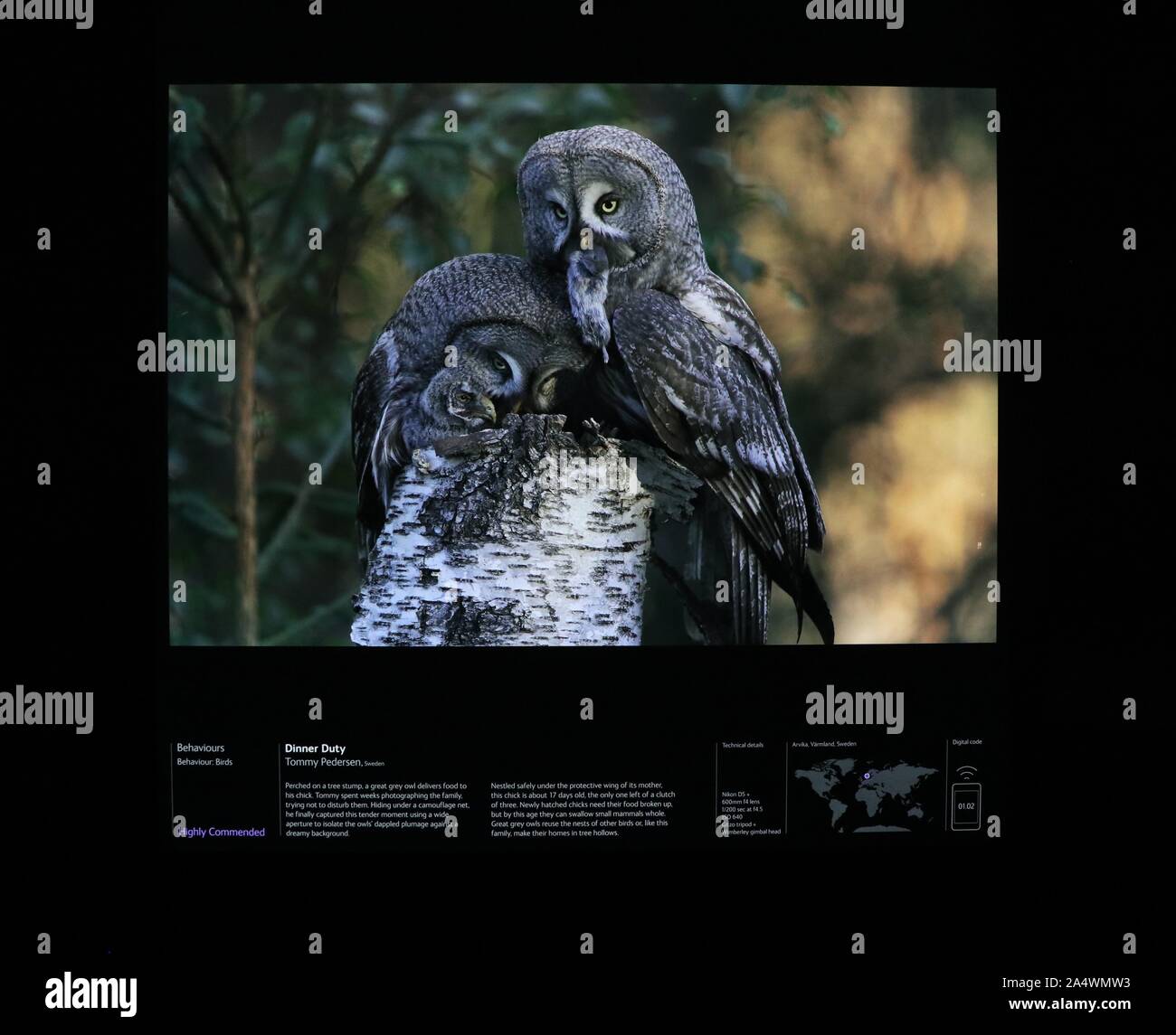 Thomas easterbrook hi-res stock photography and images - Alamy