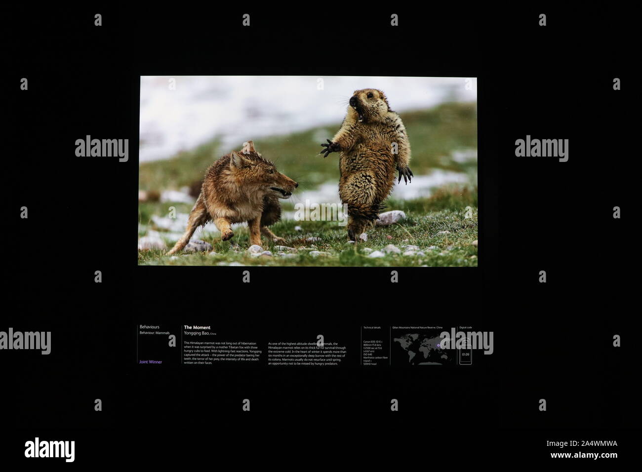 Thomas easterbrook hi-res stock photography and images - Alamy