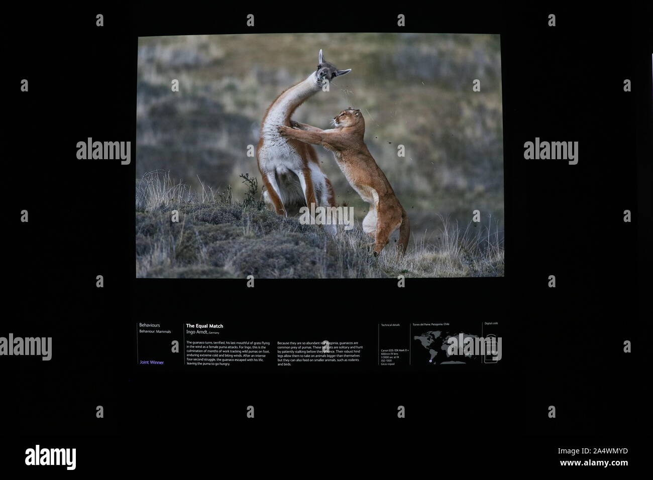 Thomas easterbrook hi-res stock photography and images - Alamy