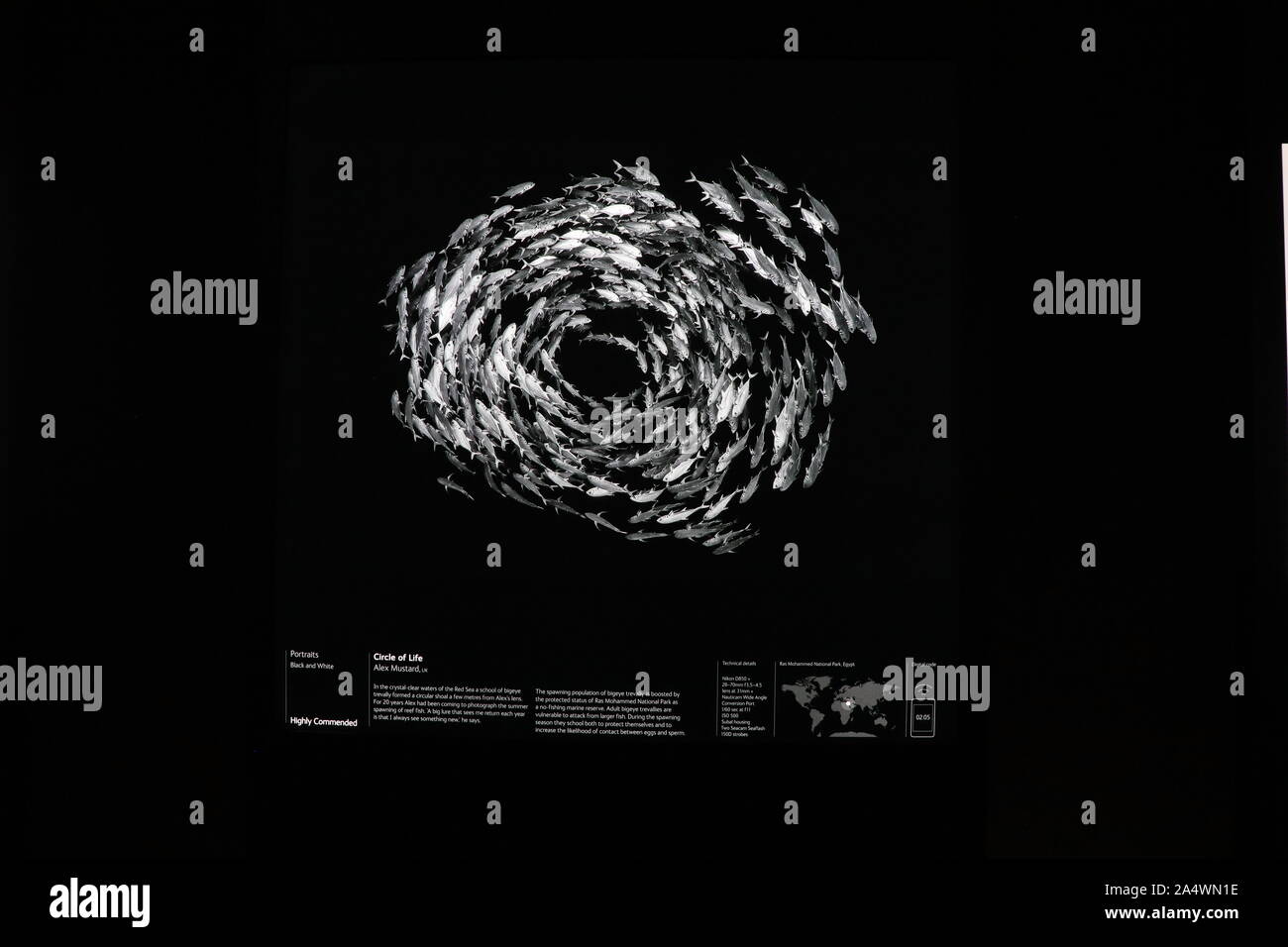 Thomas easterbrook hi-res stock photography and images - Alamy