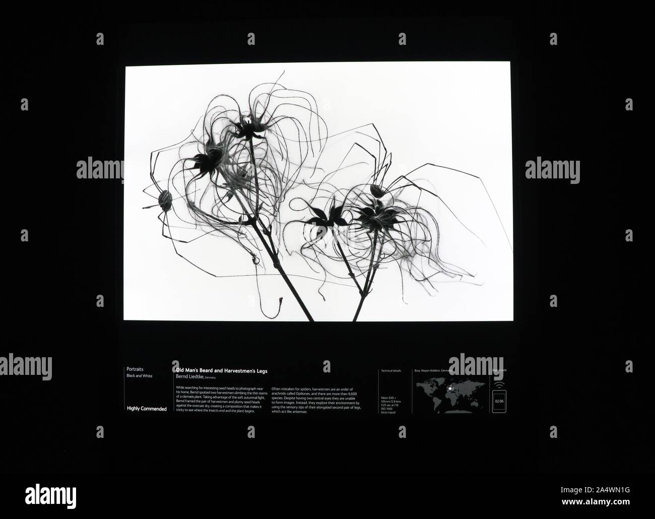 Thomas easterbrook hi-res stock photography and images - Alamy