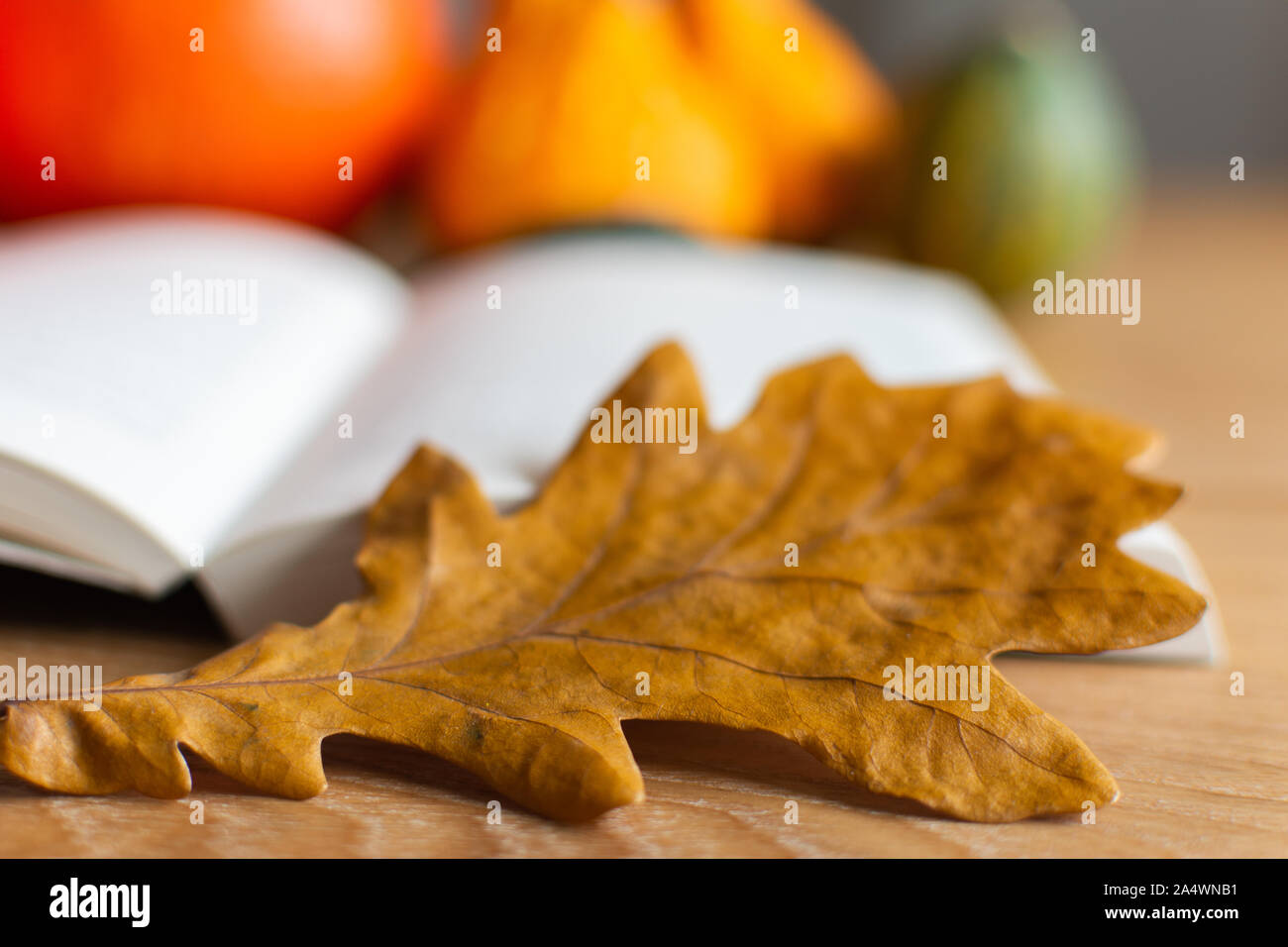 Autumn background with open book and orange pumpkins with leaves Stock ...