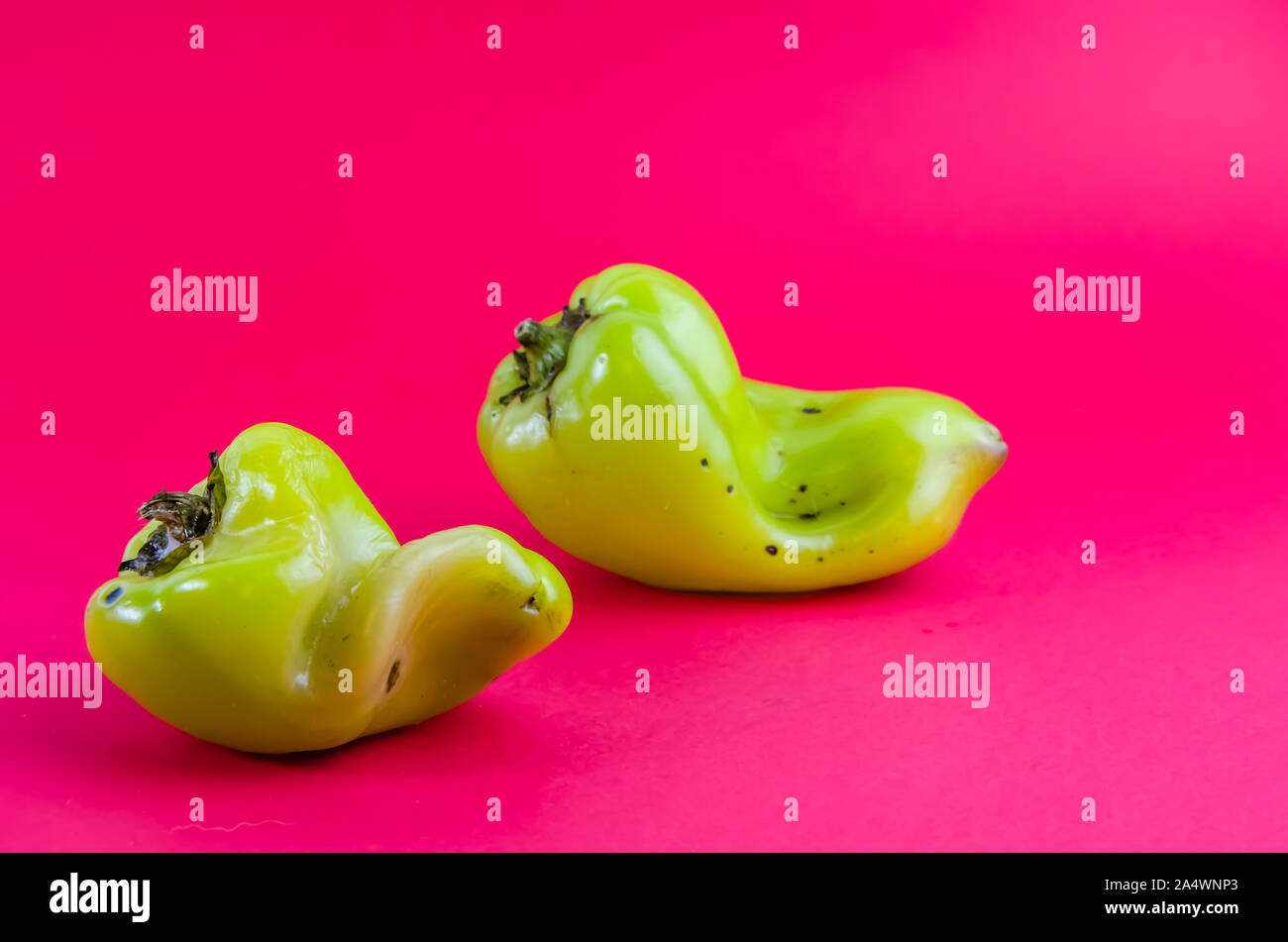 ugly food. green pepper on a red background. copy space Stock Photo - Alamy