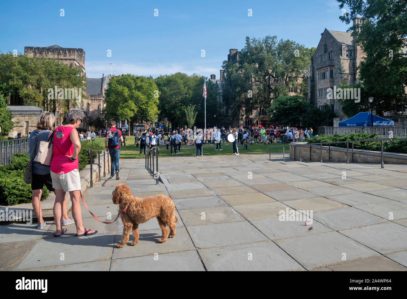 The Yale Precision Marching Band, New Haven, Connecticut, USA Stock ...