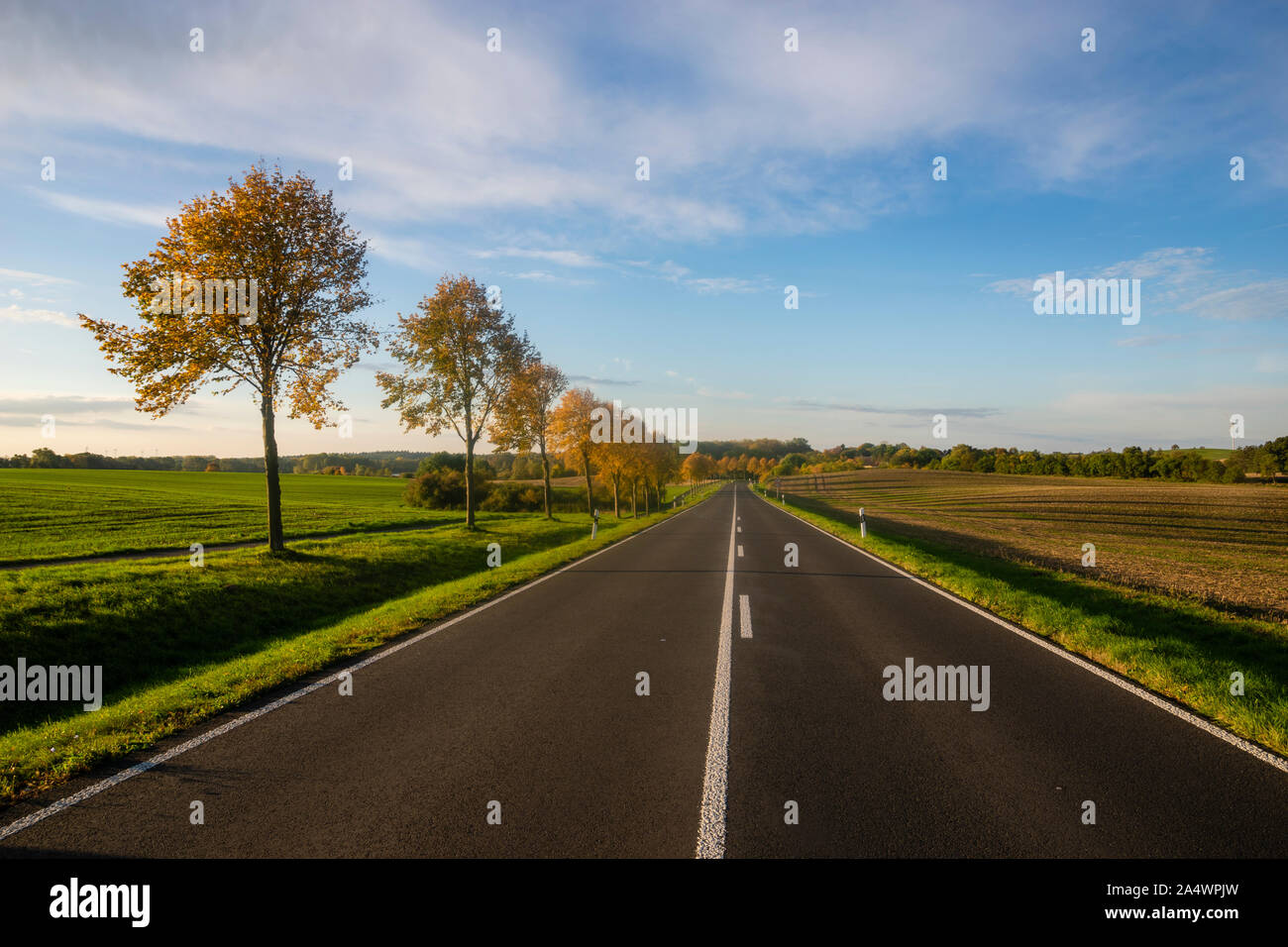 Row trees fields autumn hi-res stock photography and images - Alamy