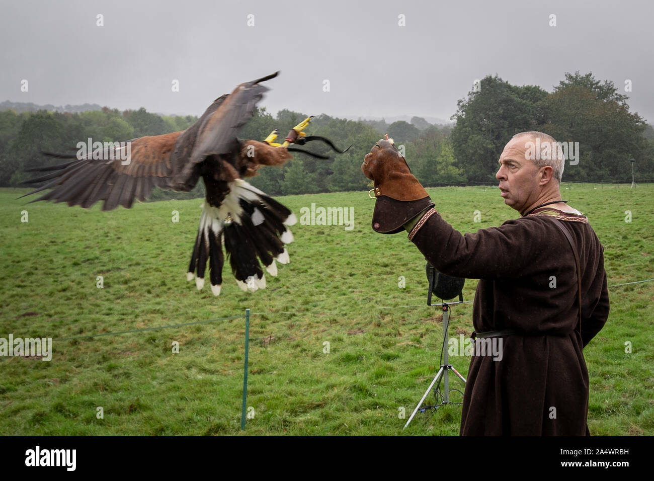 Medieval Falconry High Resolution Stock Photography and Images - Alamy