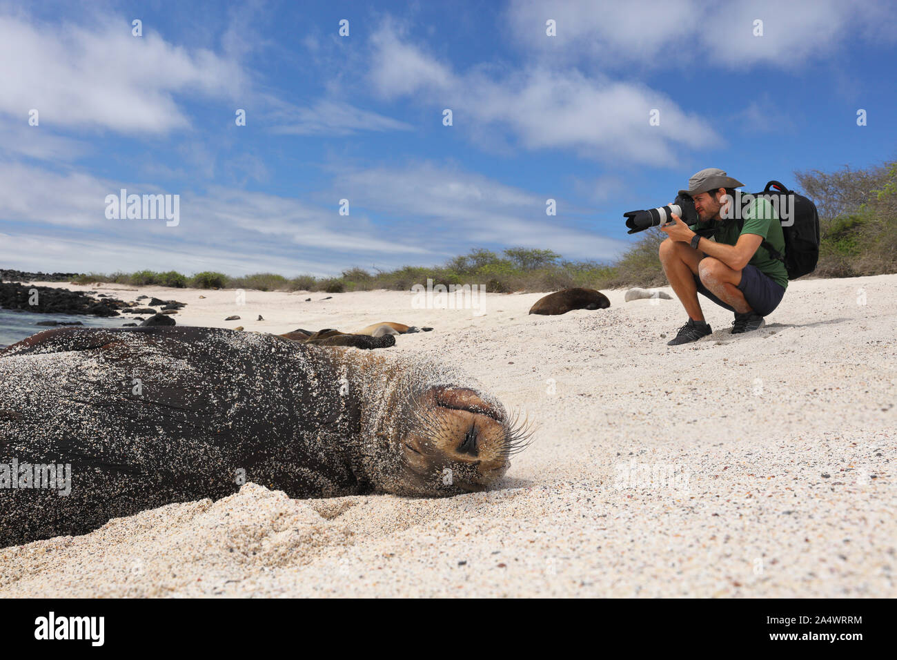 Galapagos Animal wildlife nature photographer tourist photographing ...