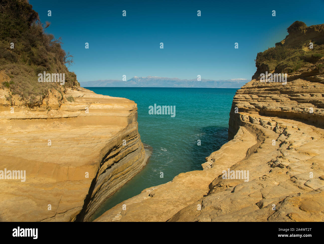 Corfu and greece plants hi-res stock photography and images - Alamy