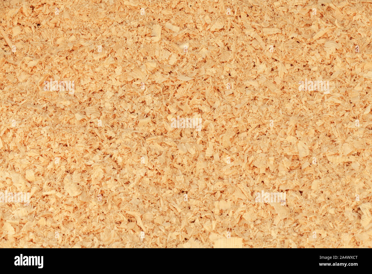 Fresh wooden sawdust, detailed background photo texture Stock Photo - Alamy