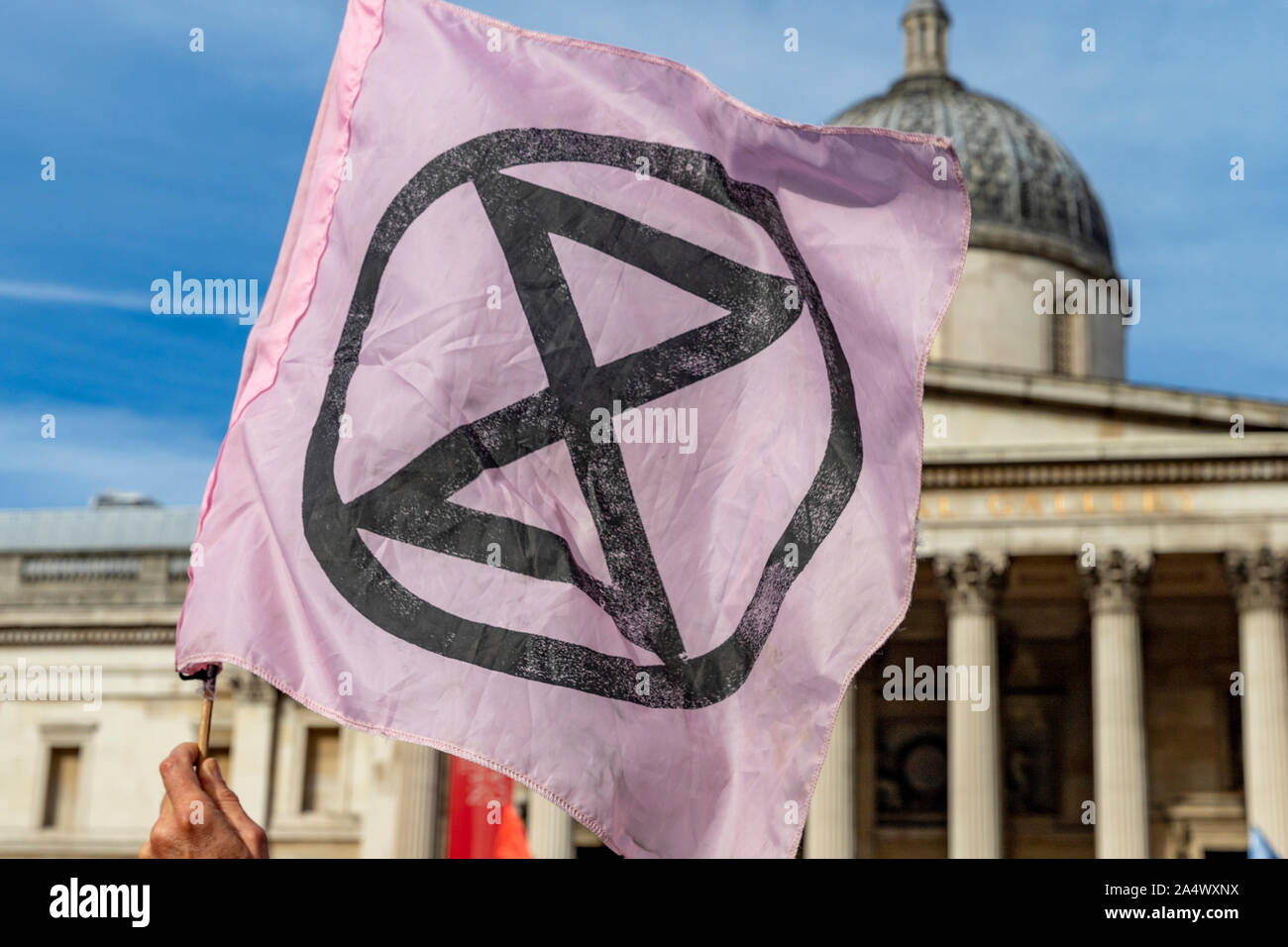 Extinction rebellion flag hi-res stock photography and images - Alamy