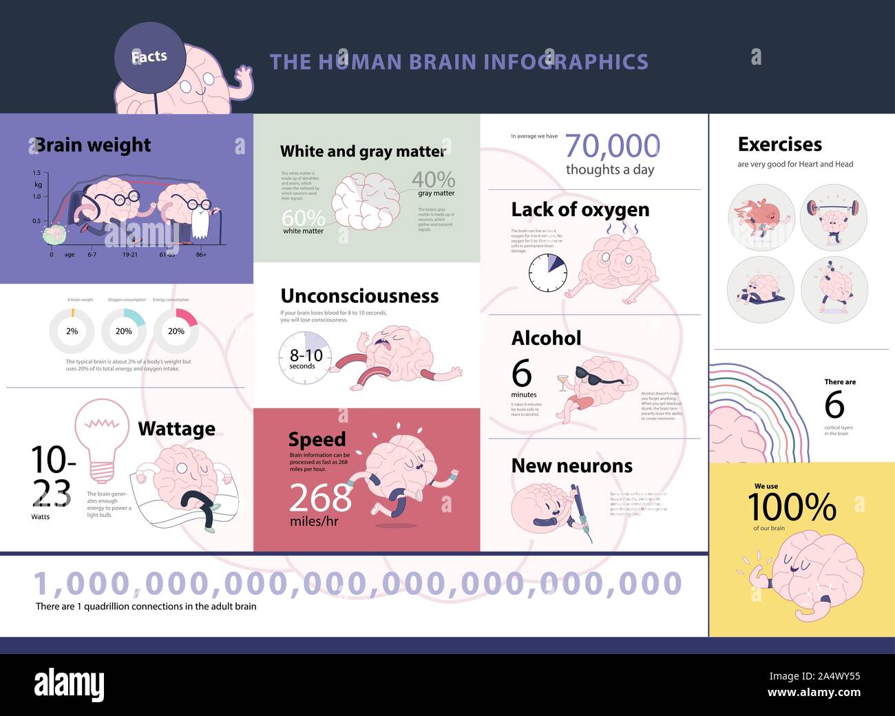 Human brain vector images hi-res stock photography and images - Alamy