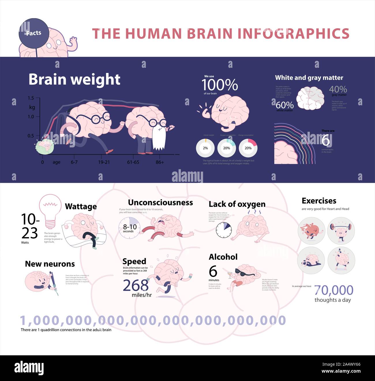 Old cabbage Stock Vector Images - Alamy