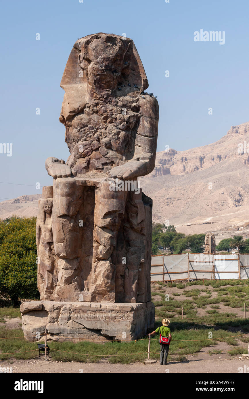 Colossus of Memnon, West-Thebes, Luxor, Egypt, Africa Stock Photo - Alamy