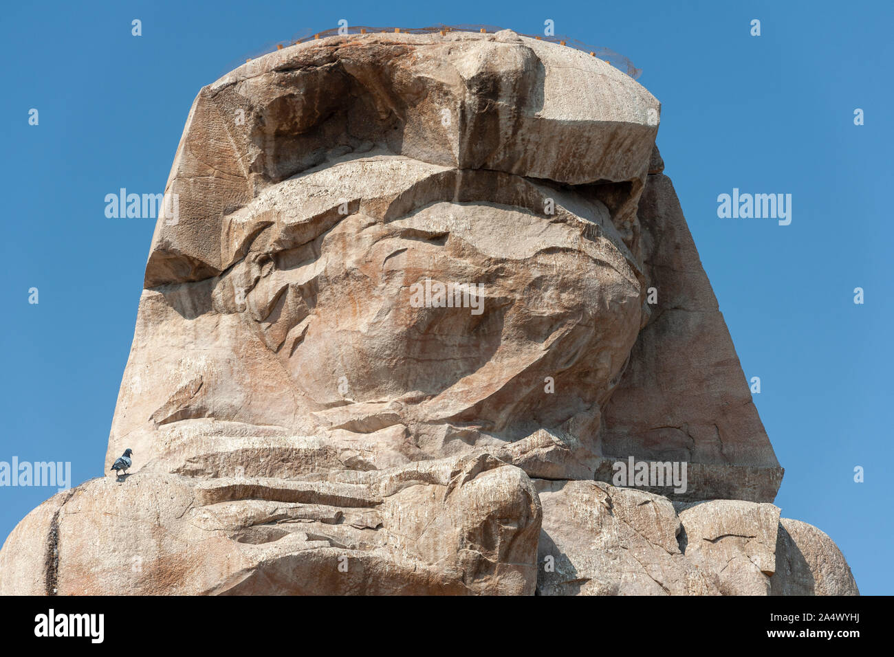 Colossus of Memnon, West-Thebes, Luxor, Egypt, Africa Stock Photo - Alamy Colossus of Memnon, West-Thebes, Luxor, Egypt, Africa Stock Photo - Alamy