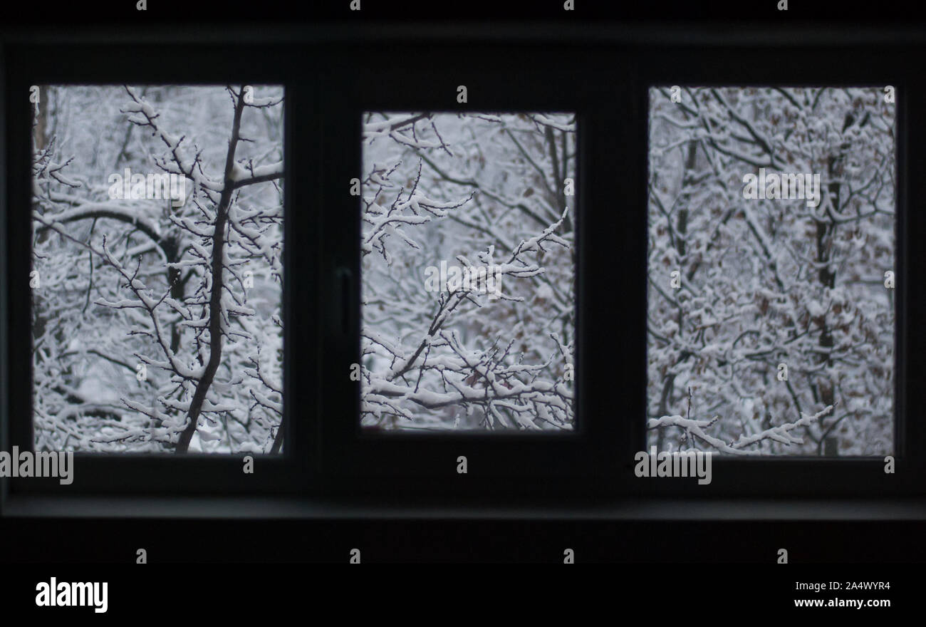Snowy branches of trees outside the window in winter Stock Photo - Alamy