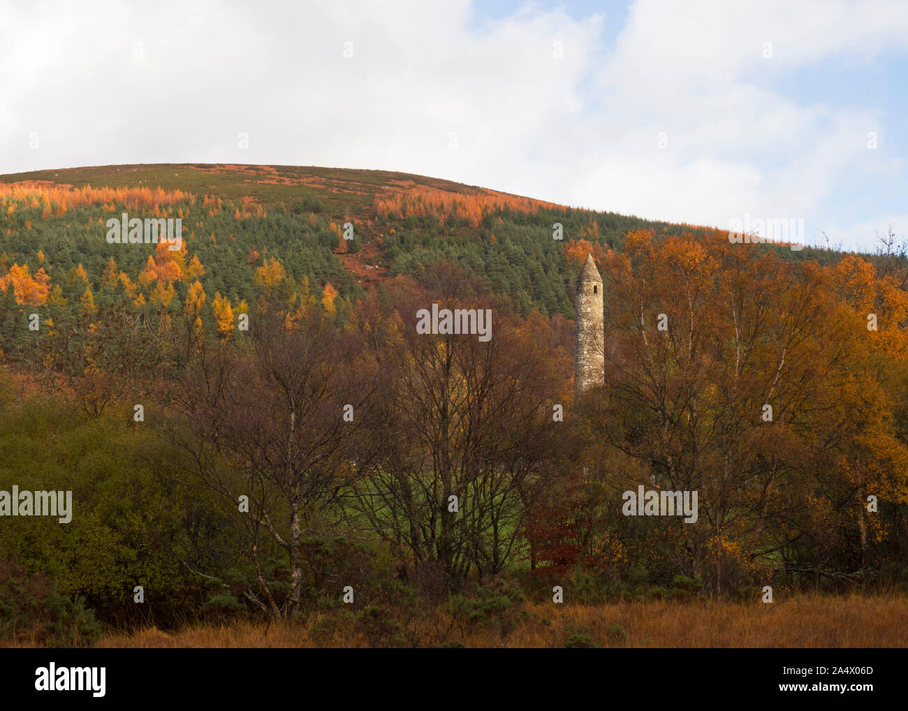 Autumn trees ireland hi-res stock photography and images - Alamy