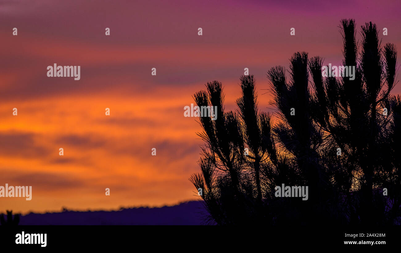 Sunset panorama in red and blue colors Stock Photo - Alamy
