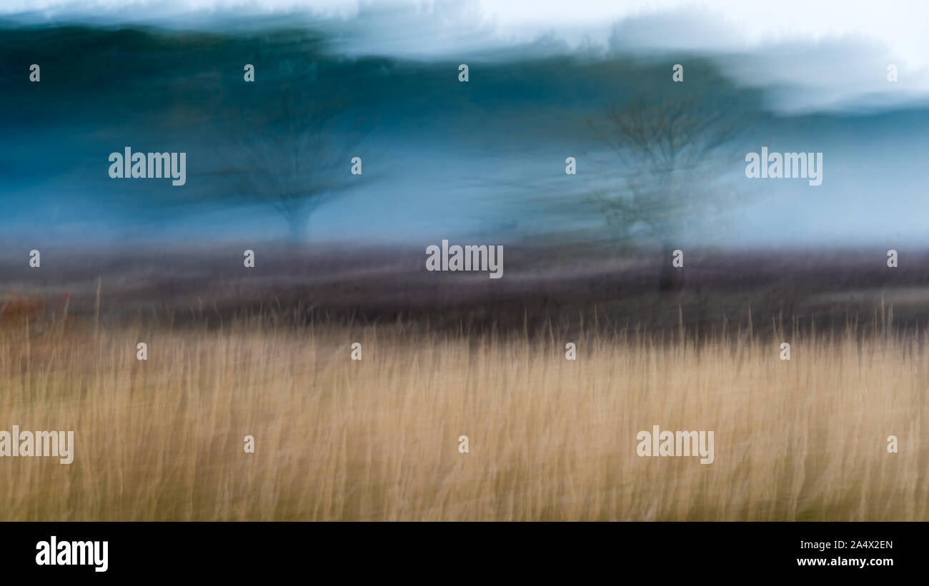 Two lone trees hi-res stock photography and images - Alamy