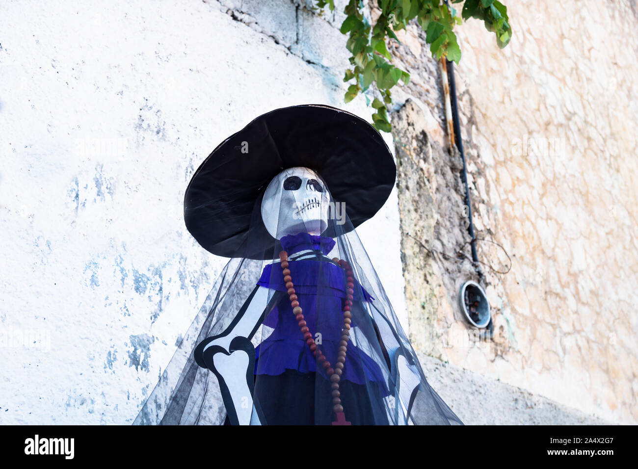 Day dead skull woman calavera hi-res stock photography and images - Alamy