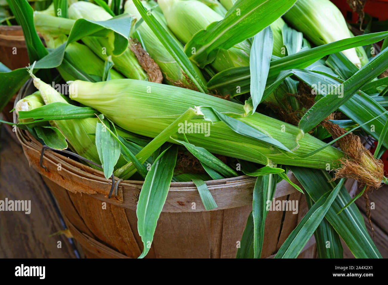 Corn in husk basket hi-res stock photography and images - Alamy