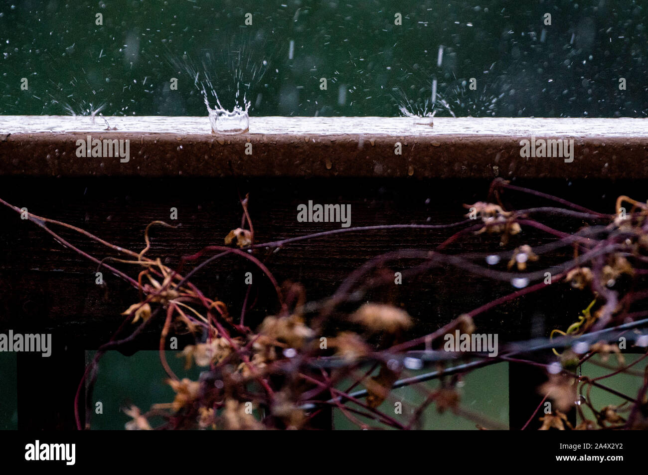 Splish splash hi-res stock photography and images - Alamy