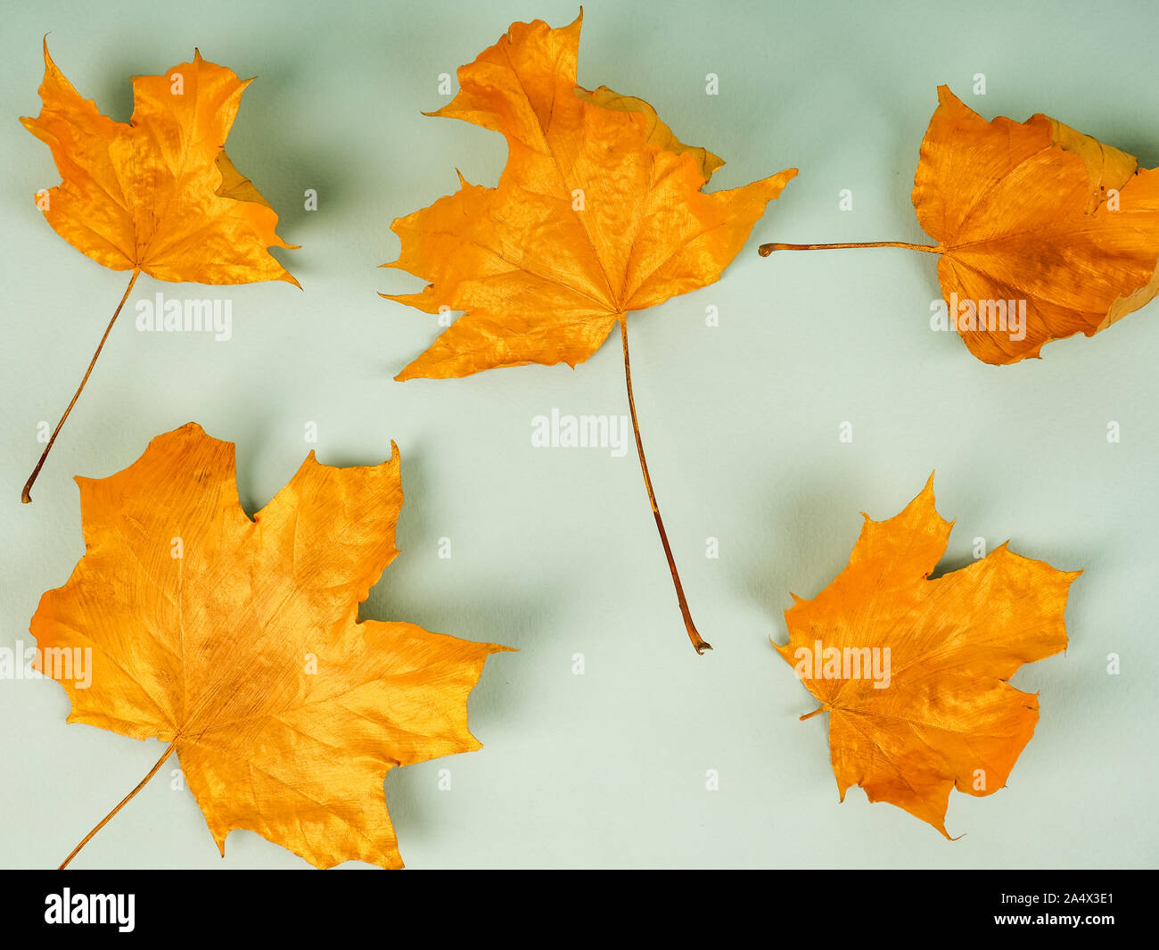 Gold colored leaves hi-res stock photography and images - Alamy