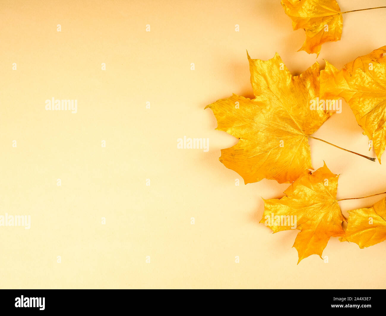 Gold colored leaves hi-res stock photography and images - Alamy
