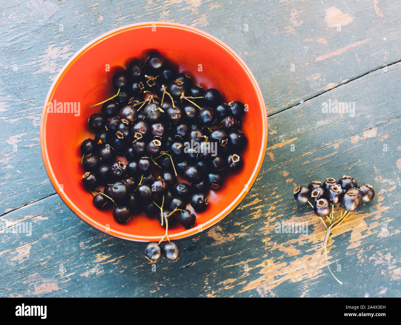 Fresh Berries Of Black Hawthorn In The Black Bowl On The Old Wooden ...