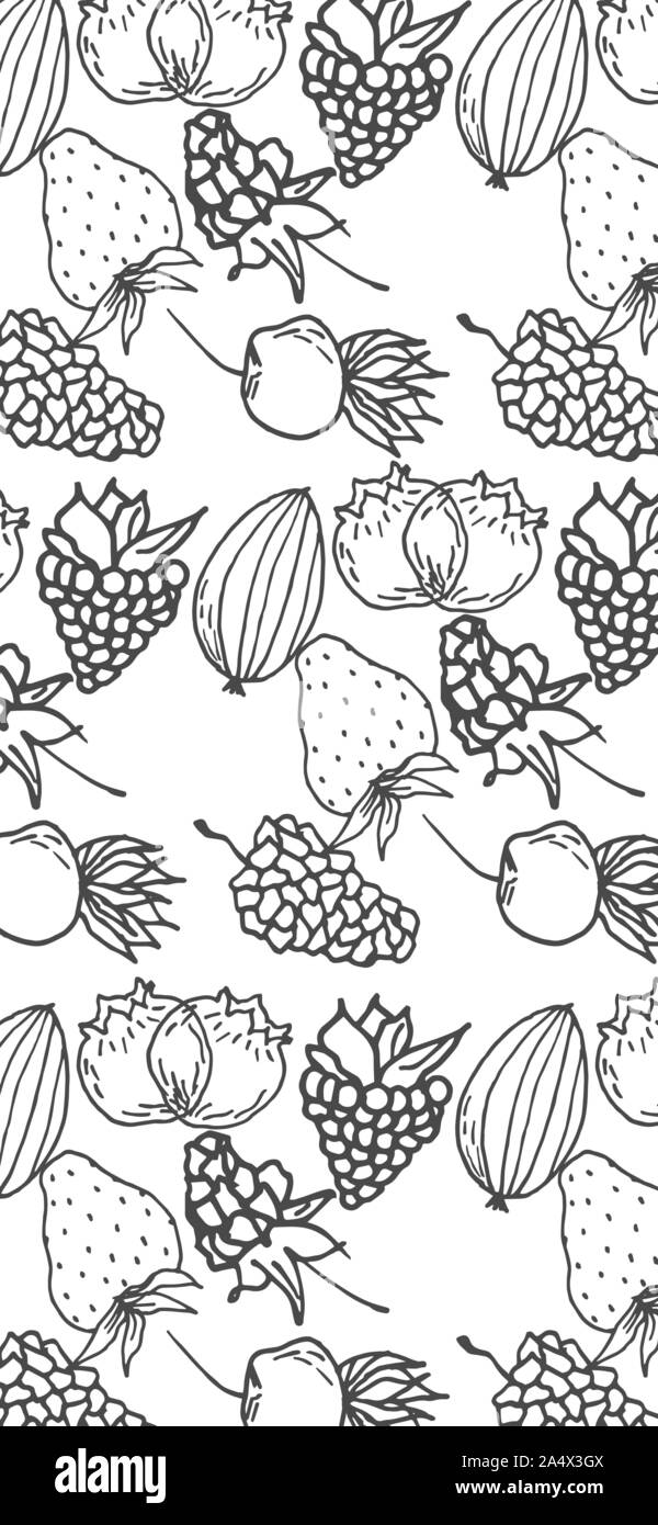 Berry color hand drawn vector set. Fruit botany illustration. Berries ...