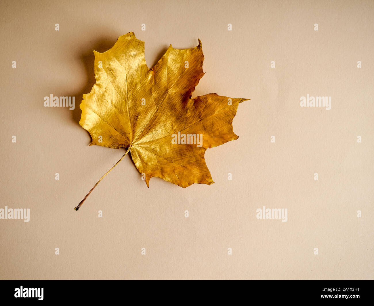 single gold leaf, painted sheet in yellow metal, space for text, for ...