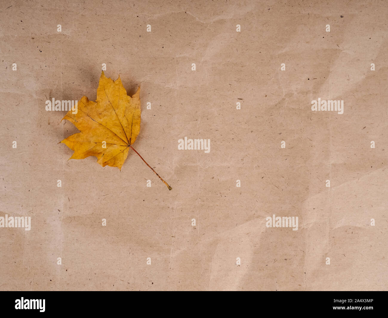 single gold leaf, painted sheet in yellow metal, space for text, for ...