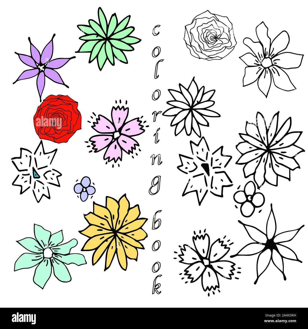 Set of vector floral coloring book with blooming garden flowers ...