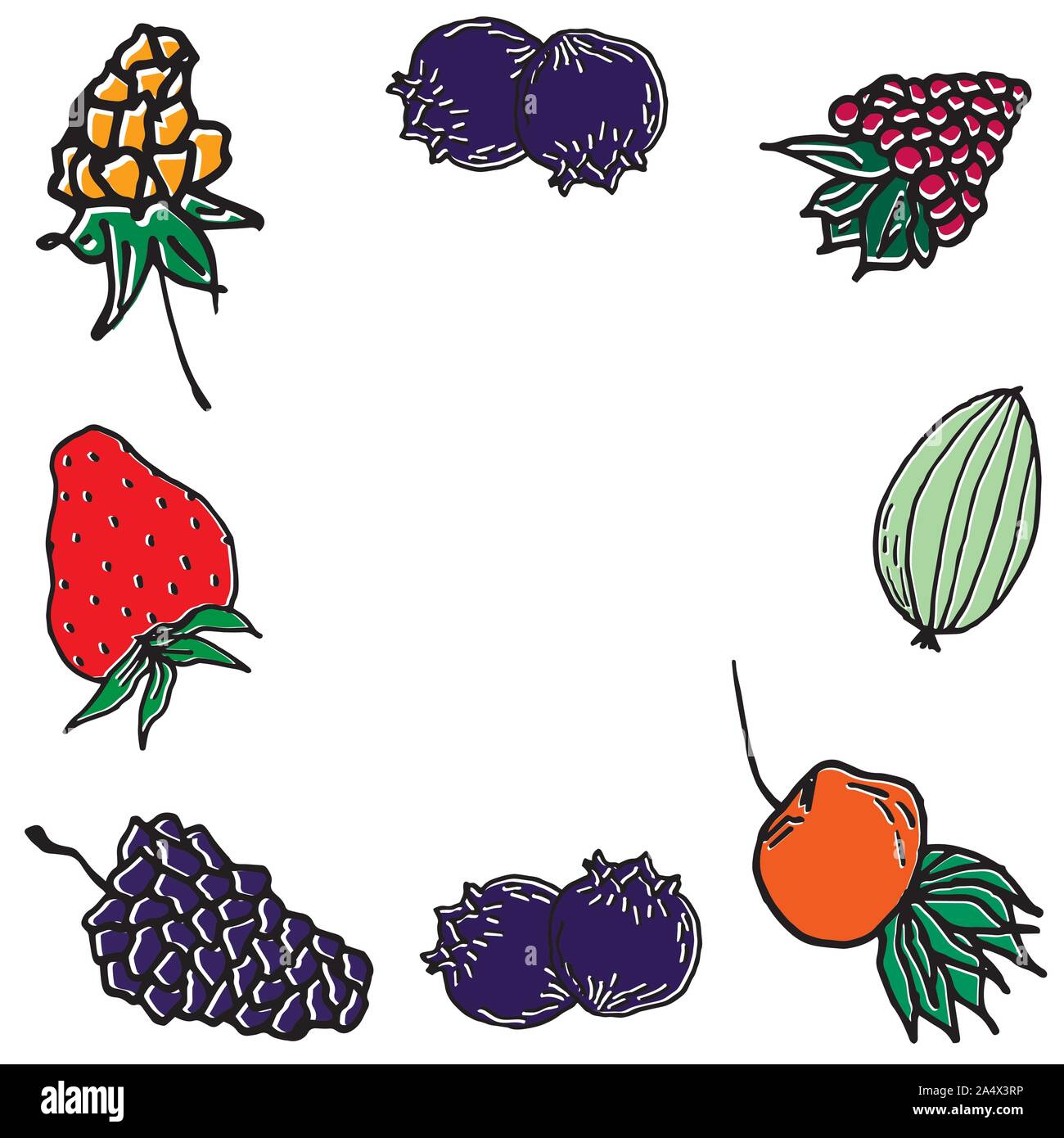 Berry color hand drawn vector set. Fruit botany illustration. Berries ...